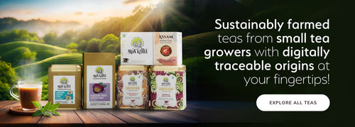 Iron Kettle - The World of Finest Teas | Buy Premium Tea Online